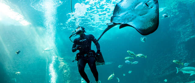 Two Oceans Aquarium | Visit us