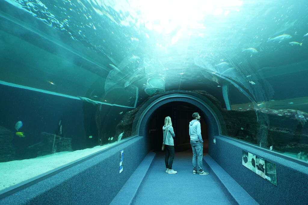 Two Oceans Aquarium | Welcome to the Two Oceans Aquarium