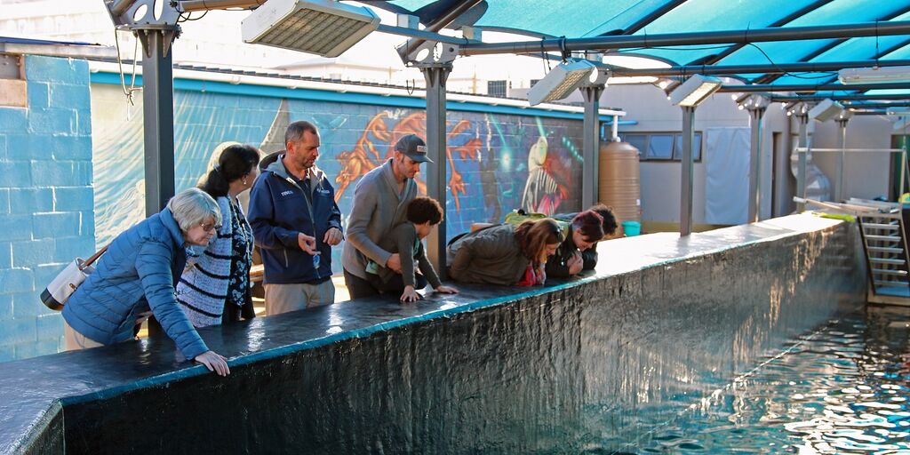 Two Oceans Aquarium | Experiences