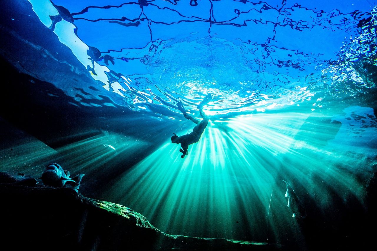 Two Oceans Aquarium | PADI Advanced Freediver Course