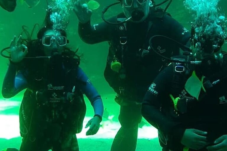 Two Oceans Aquarium | Farewell scuba instructor iain robertson!