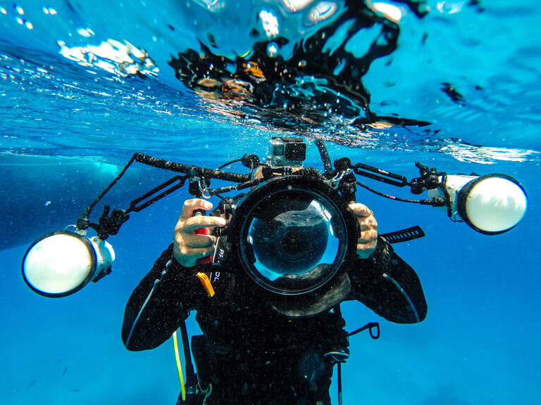 Two Oceans Aquarium | PADI Digital Underwater Photographer Course