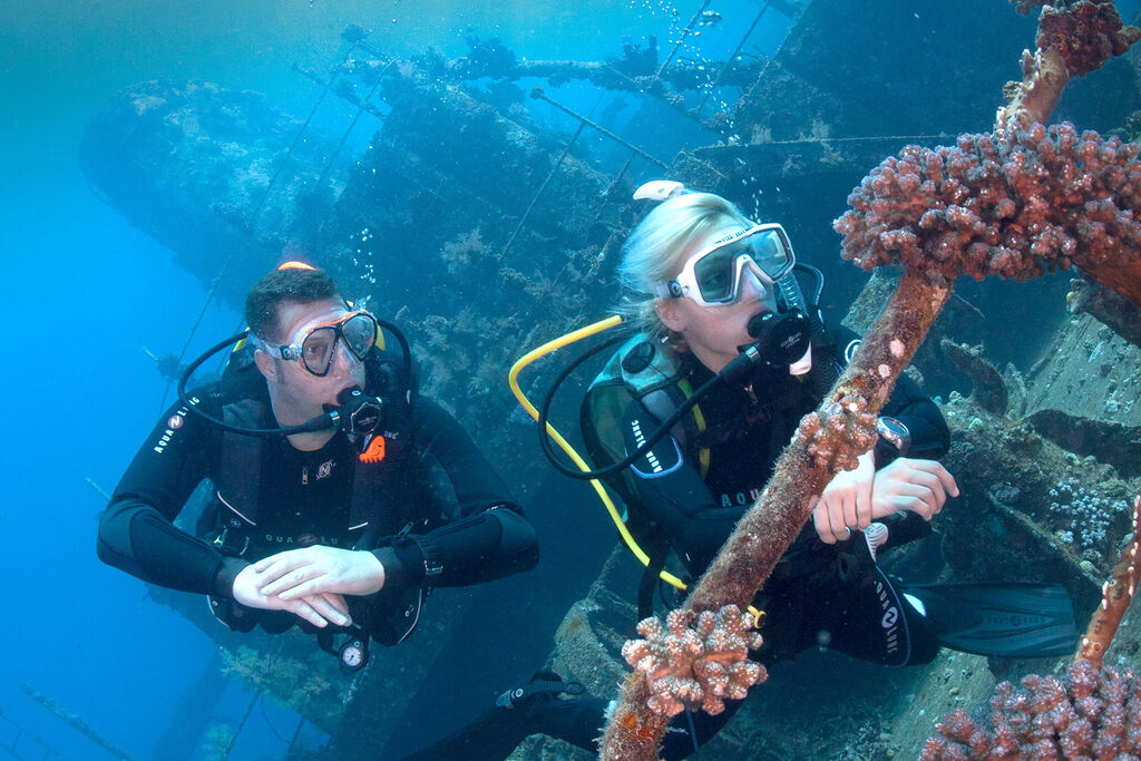 Two Oceans Aquarium | PADI Wreck Diver Course
