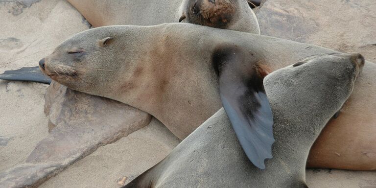 Two Oceans Aquarium Foundation | Foundation