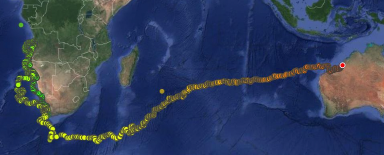 Two Oceans Aquarium Foundation | Yoshi the loggerhead turtle sends…