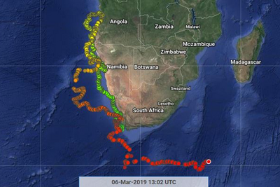 Two Oceans Aquarium | Where are yoshi and alvi? follow the turtles'…