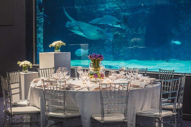 Two Oceans Aquarium | Private dinners and special occasions
