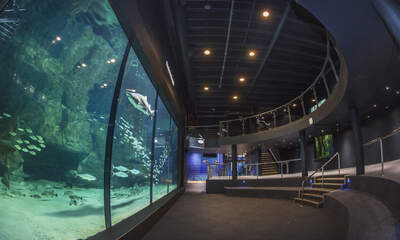 Two Oceans Aquarium | Conferences and meetings