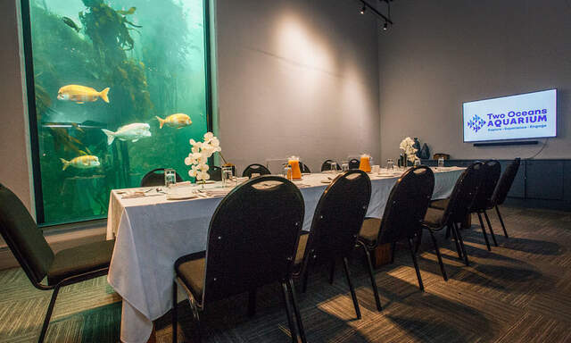Two Oceans Aquarium | Eventing at the Two Oceans Aquarium