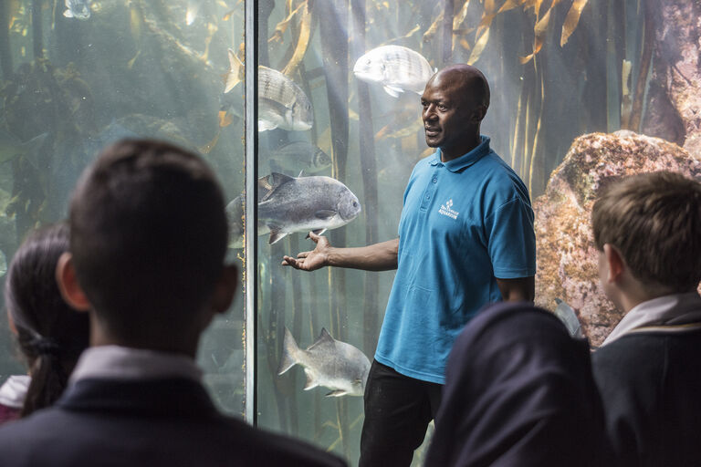 Two Oceans Aquarium | The two oceans aquarium education foundation is…