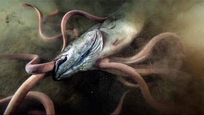 Two Oceans Aquarium | Hagfish are (too) weird