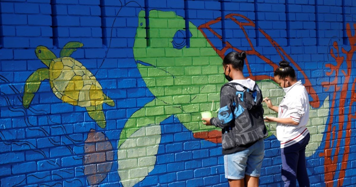 Two Oceans Aquarium | Bob the turtle features on new mural at…
