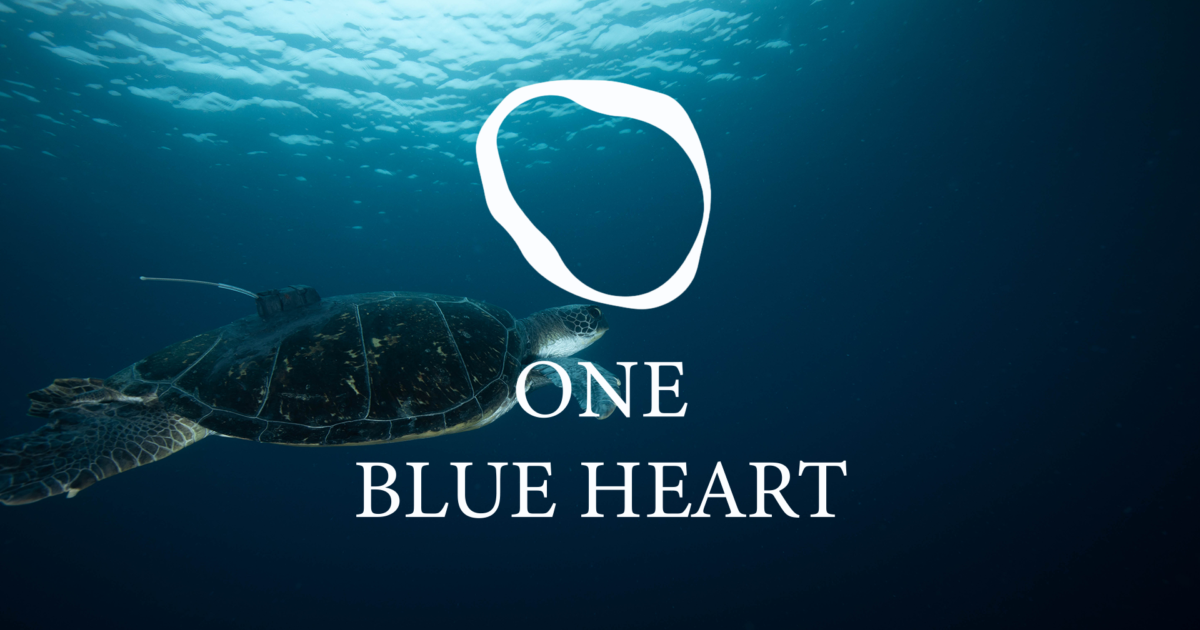 Two Oceans Aquarium | One Blue Heart