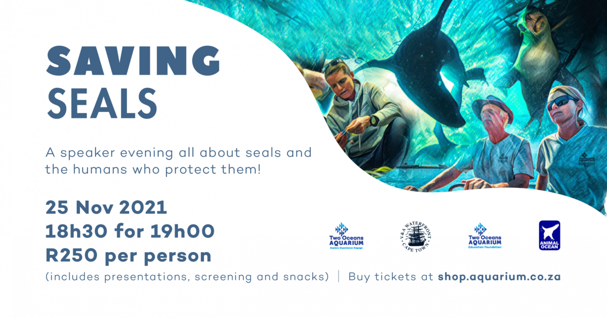Two Oceans Aquarium | Saving seals: join us for an evening all about…