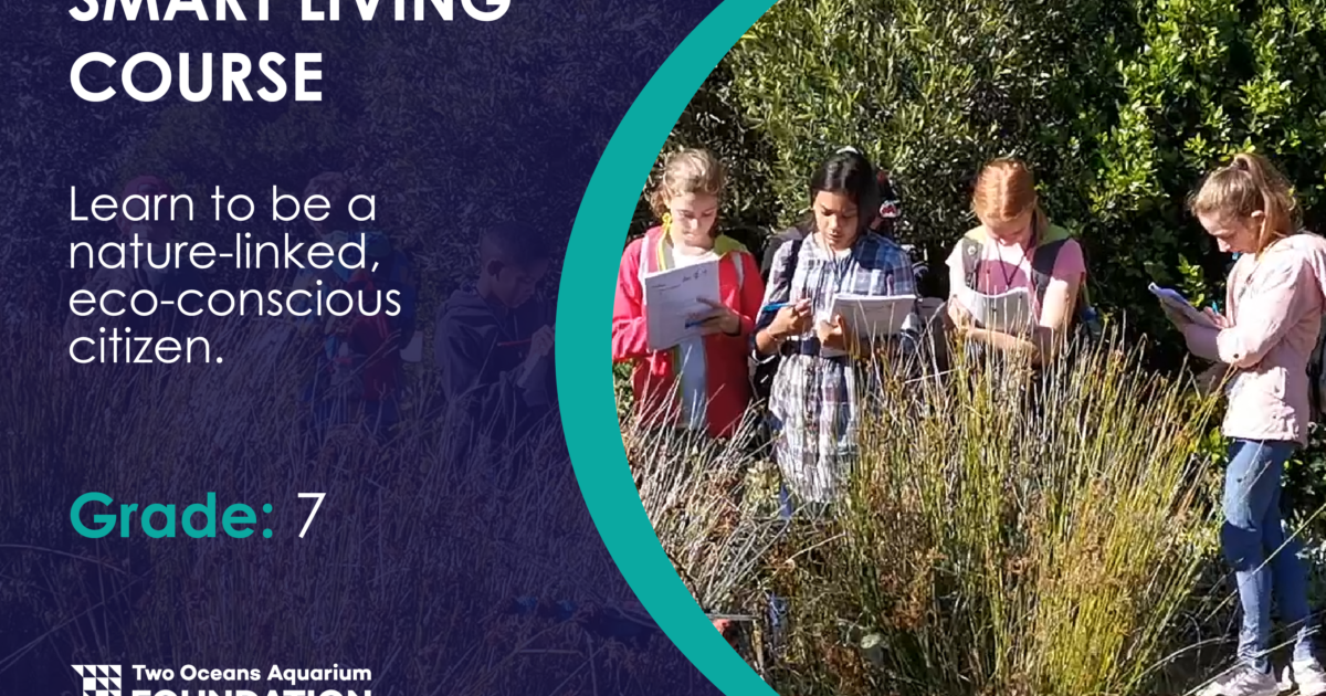 Two Oceans Aquarium Foundation | Grade 7 Smart Living Course