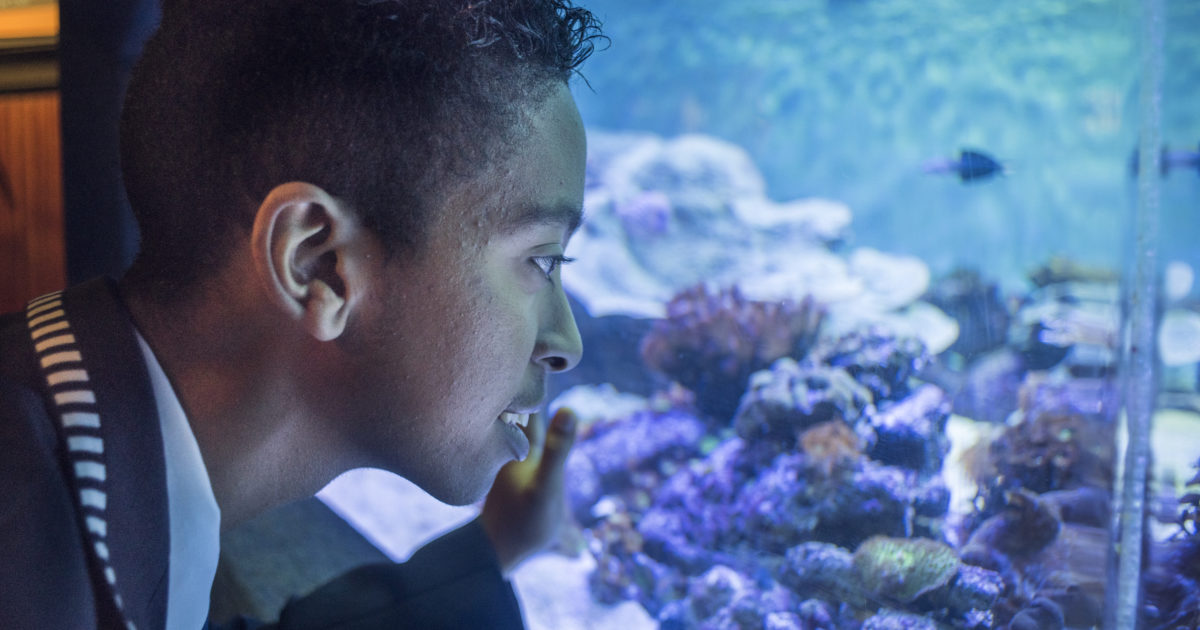 Two Oceans Aquarium Foundation | Marine Sciences FET
