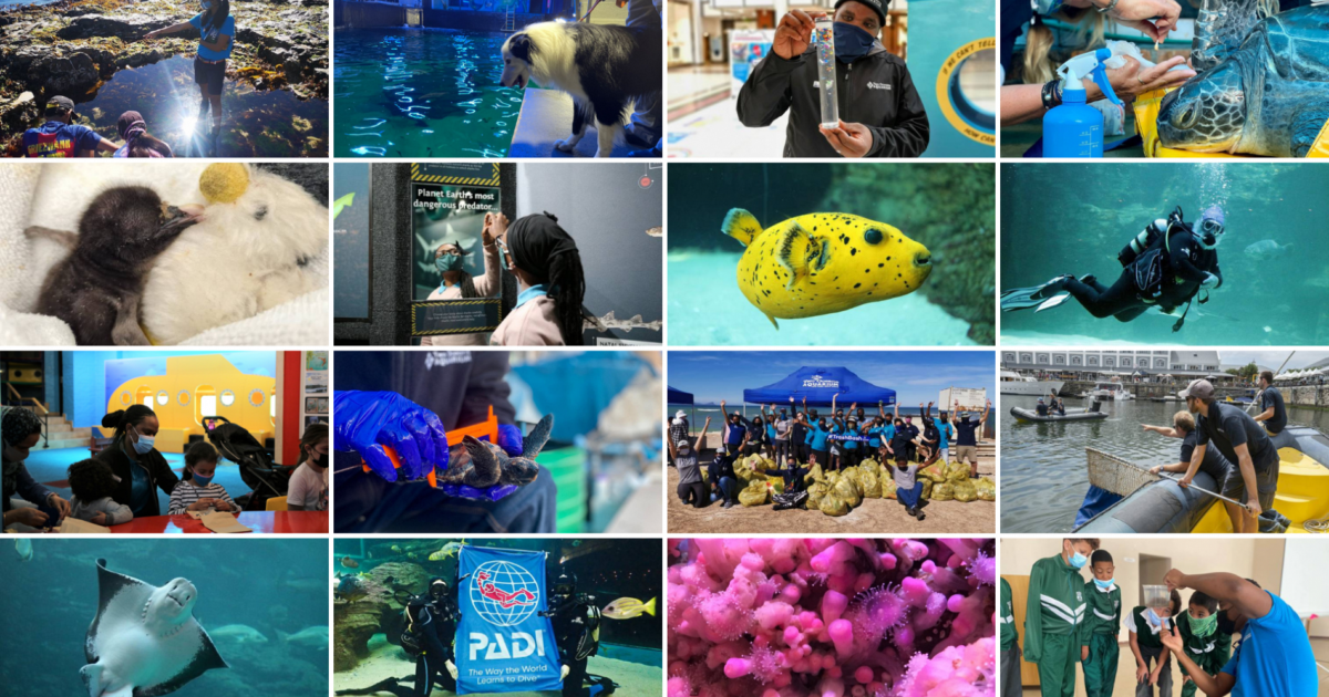 Two Oceans Aquarium | Highlights of 2021: working together to achieve…