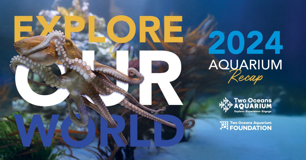 Two Oceans Aquarium | 2024 recap: Fabulously fishy moments from the…