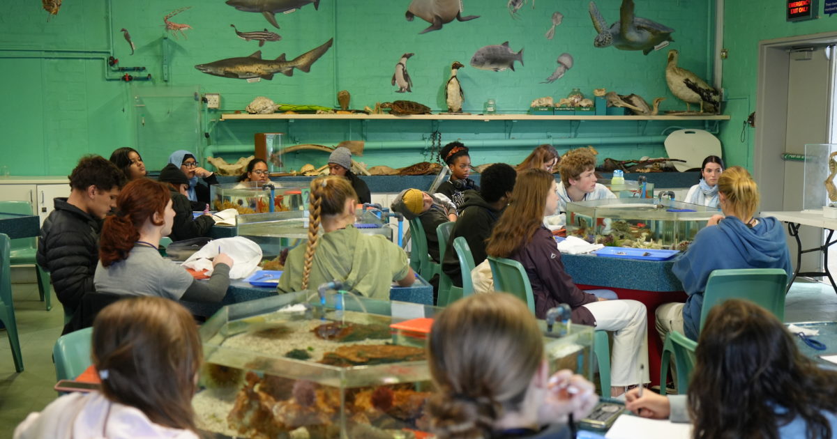 Two Oceans Aquarium Foundation | Ocean Campus Courses