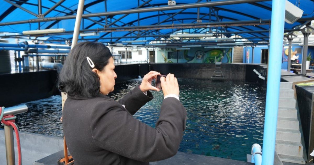 Two Oceans Aquarium | Behind the Scenes Guided Tours