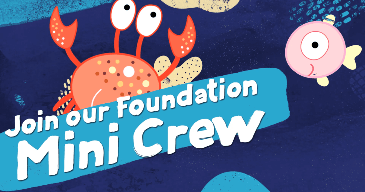 Two Oceans Aquarium | Join the two oceans aquarium education…