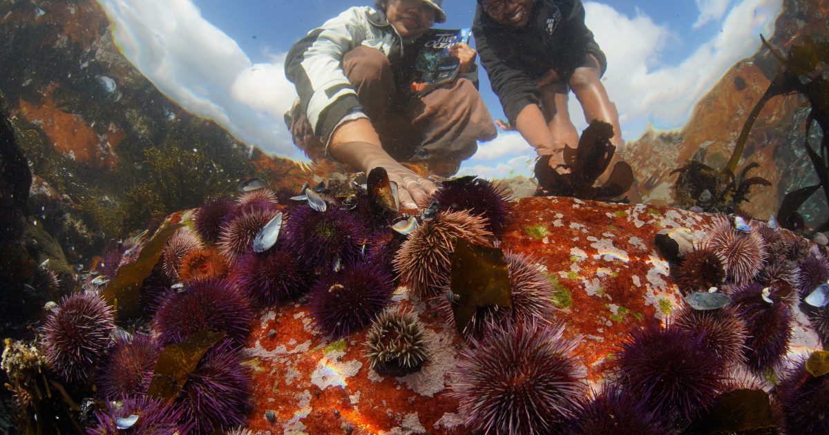 Two Oceans Aquarium Foundation | Learn how to protect our blue planet…