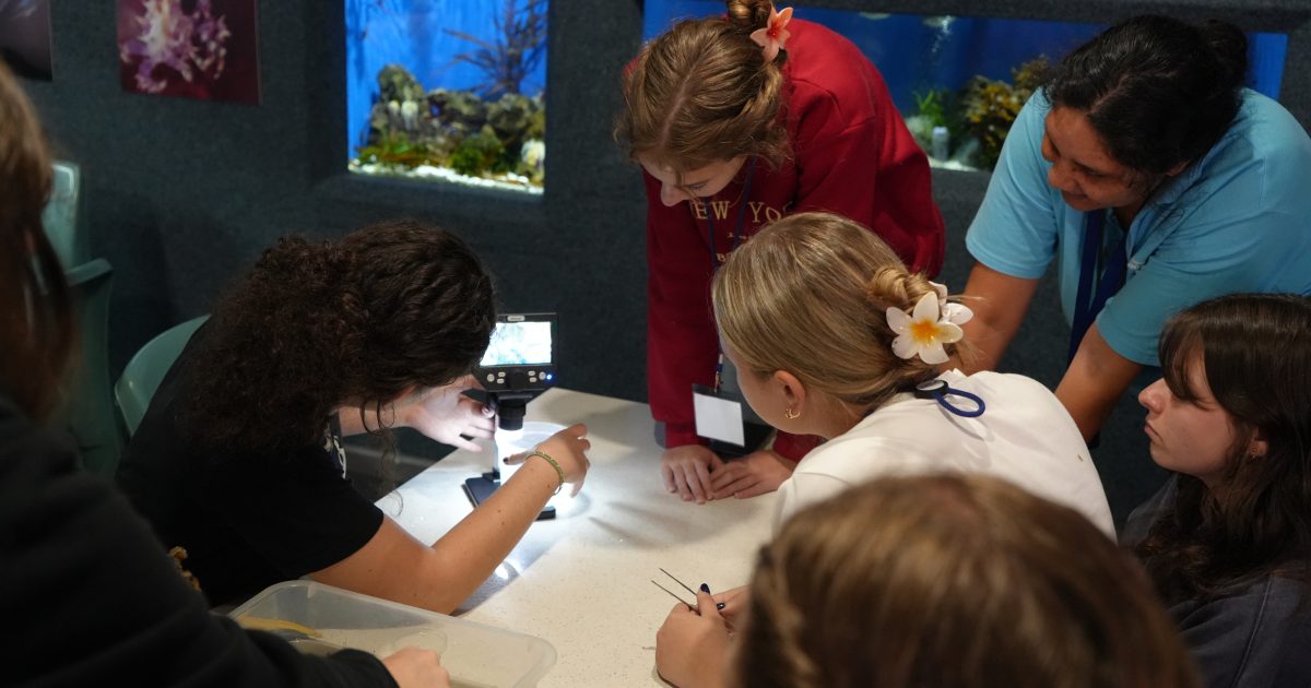 Two Oceans Aquarium Foundation | Here’s why Marine Sciences should be…