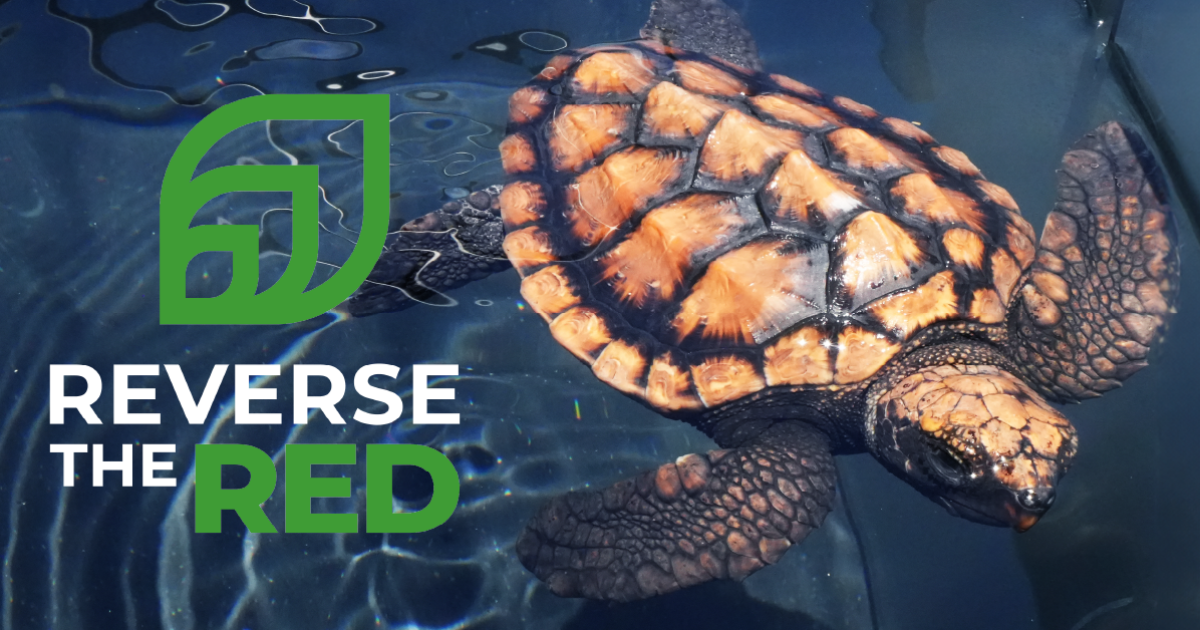 Two Oceans Aquarium | Happy Reverse the Red Day!