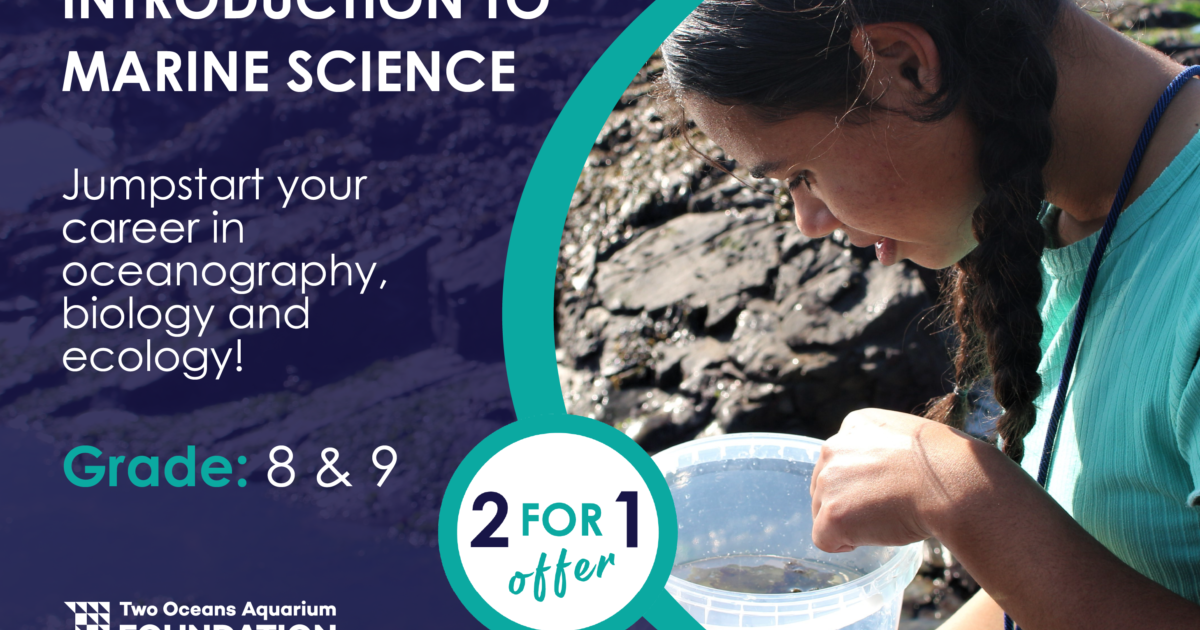 Two Oceans Aquarium Foundation | Grade 8 & 9 Introduction to Marine…