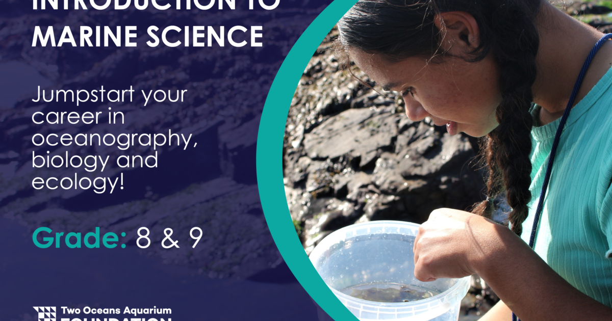Two Oceans Aquarium Foundation | Grade 8 & 9 Introduction to Marine…
