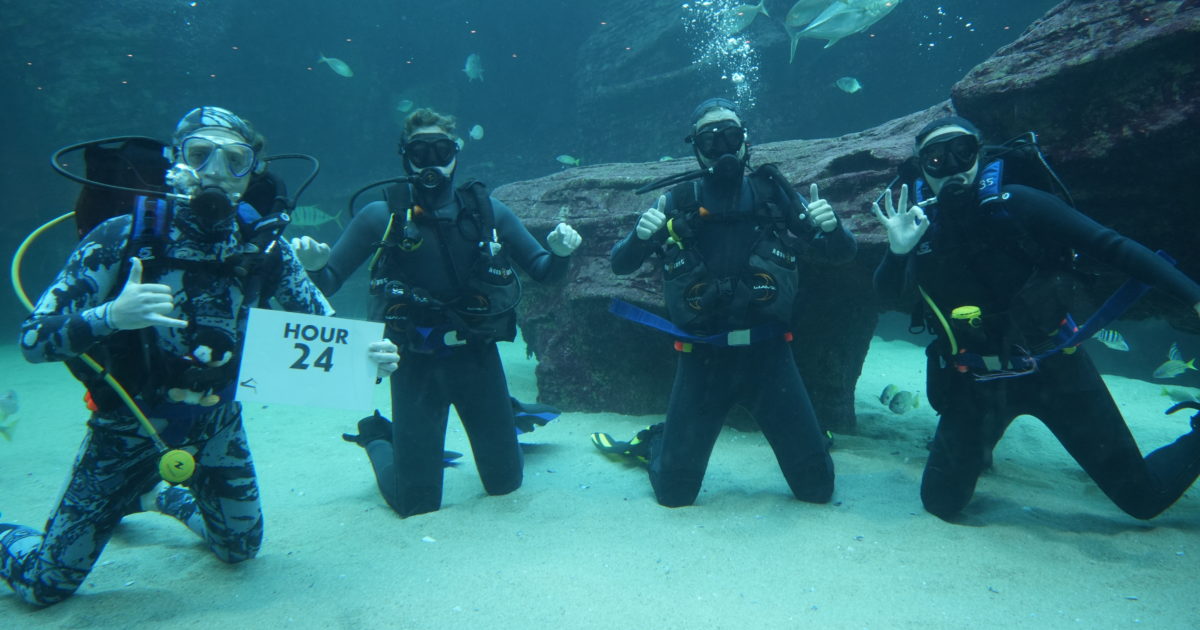 Two Oceans Aquarium | Diver24: UCT divers finish another Aquarium…