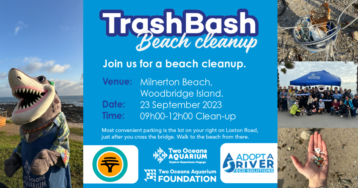 Two Oceans Aquarium | Join us! FNB Beach Clean-up Initiative takes to…