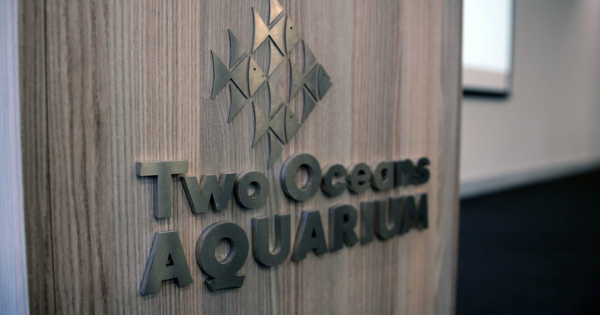Two Oceans Aquarium | Train your staff at the two oceans aquarium