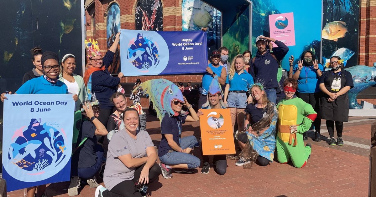 Two Oceans Aquarium | Our team shares a few small actions that they…