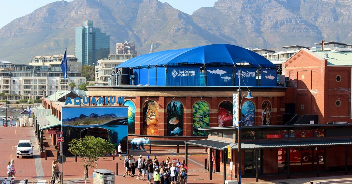 Two Oceans Aquarium | Cape Town City Pass