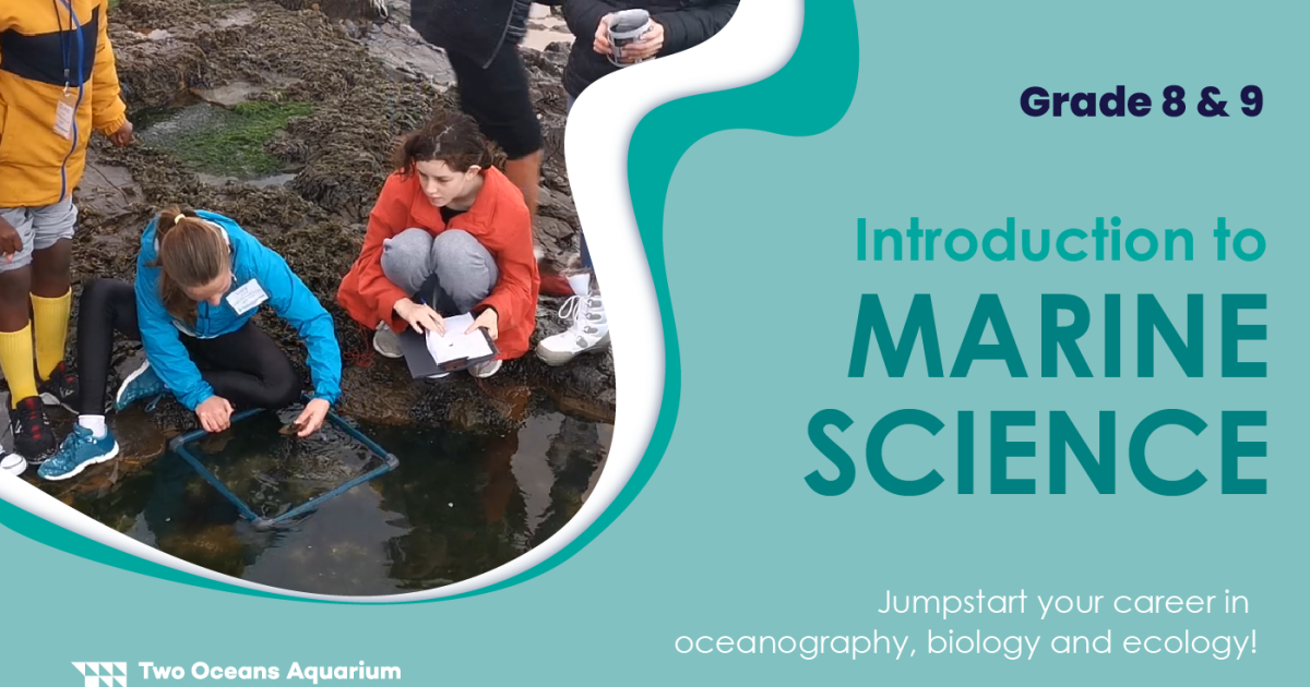 Two Oceans Aquarium Foundation | Grade 8 & 9 Introduction to Marine…