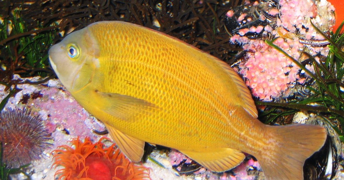 Two Oceans Aquarium | John brown