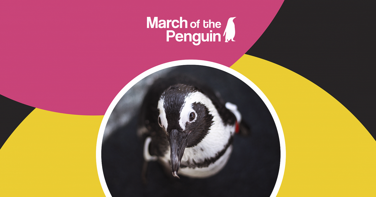 Two Oceans Aquarium | Microscopic threats to penguins: parasites