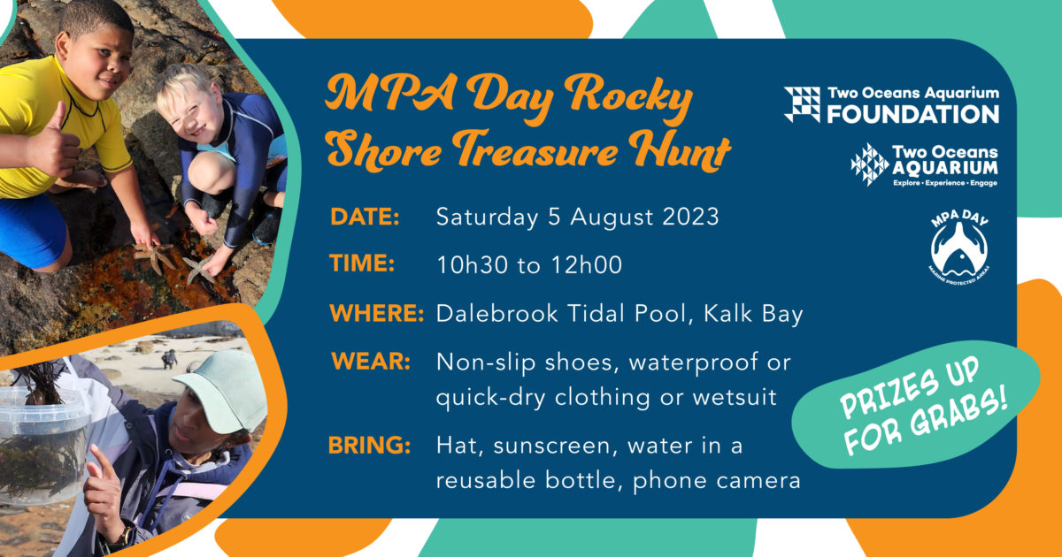 Two Oceans Aquarium | Time for a tidal pool treasure hunt!