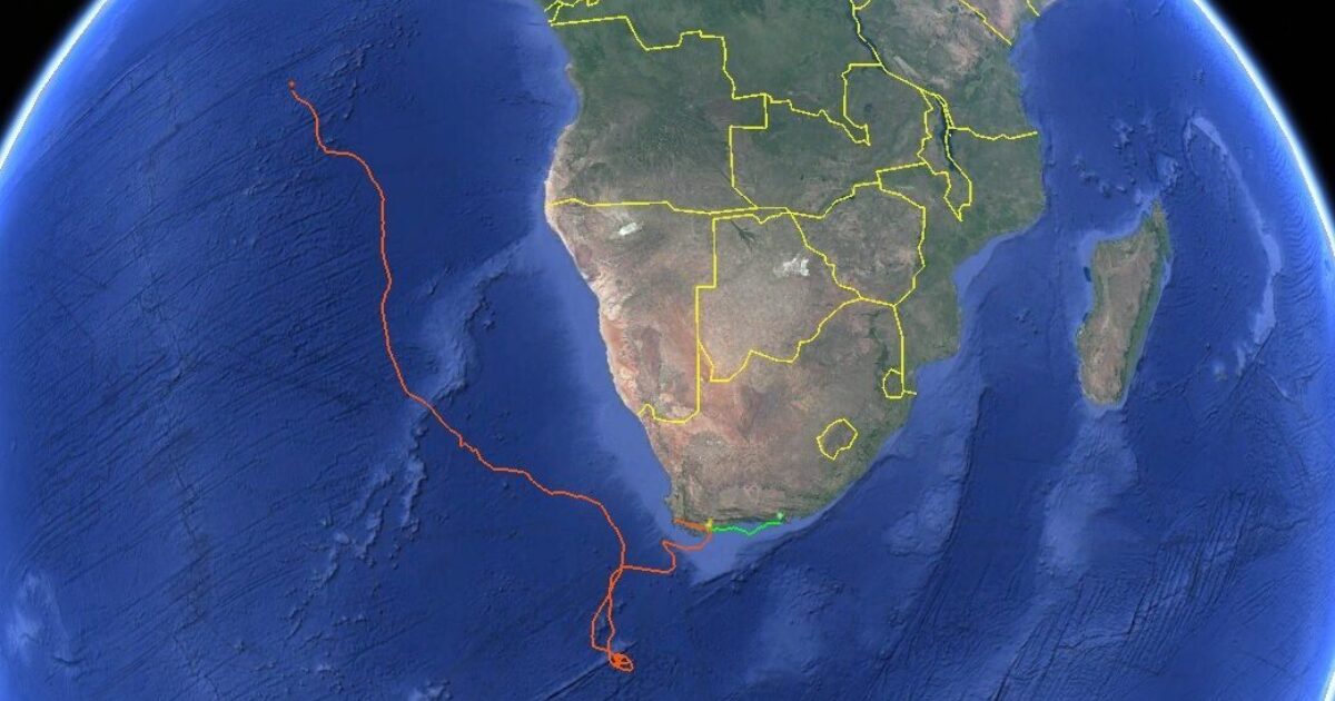 Two Oceans Aquarium Foundation | Tracking our Turtles: Kai and Nori…