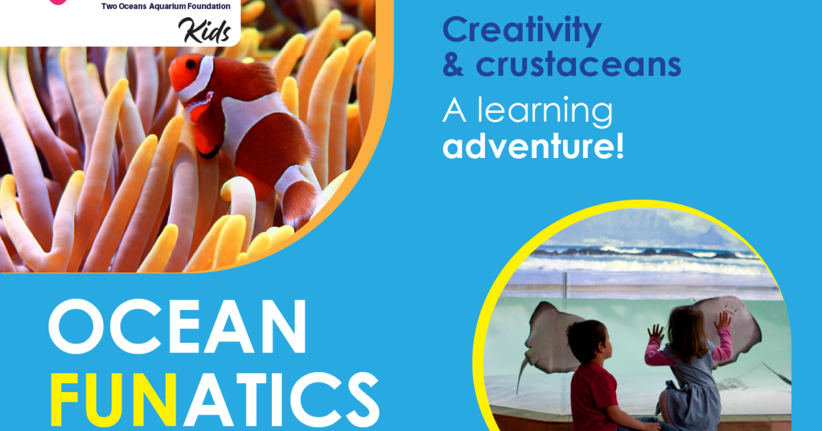 Two Oceans Aquarium Foundation | Grade 2 to 3 Ocean Funatics Course
