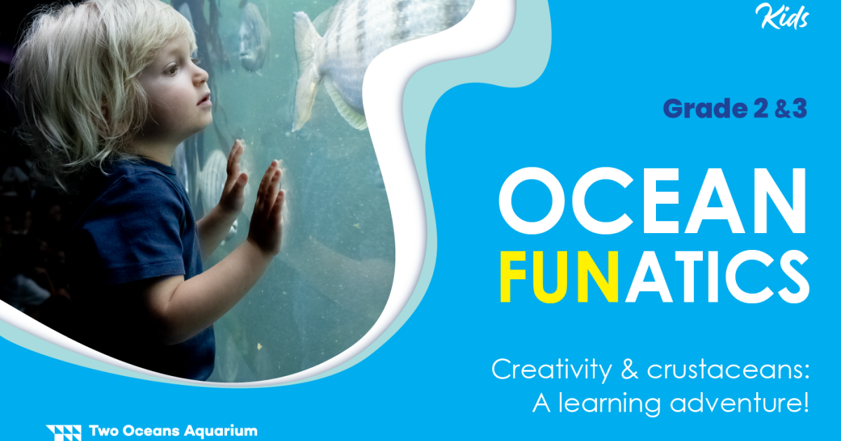 Two Oceans Aquarium Foundation | Grade 2 to 4 Ocean Funatics Course