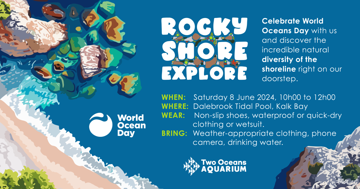 Two Oceans Aquarium Foundation | Join us for Rocky Shore Explore in…