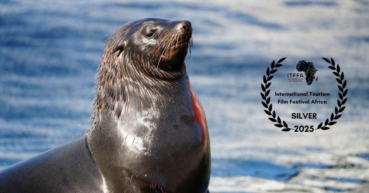 Two Oceans Aquarium | ‘By Die Soutwater’ Wins Silver at International…