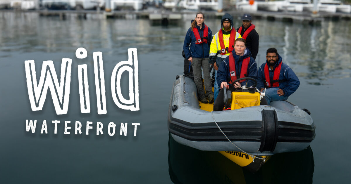Two Oceans Aquarium Foundation | "Wild Waterfront": The remarkable…