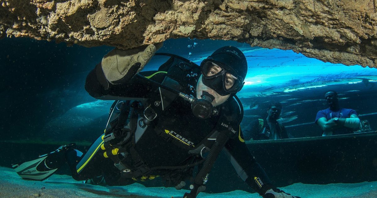 Two Oceans Aquarium | Dive gear 101: wetsuits